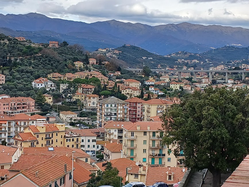 Surviving January – Paola Trimarco